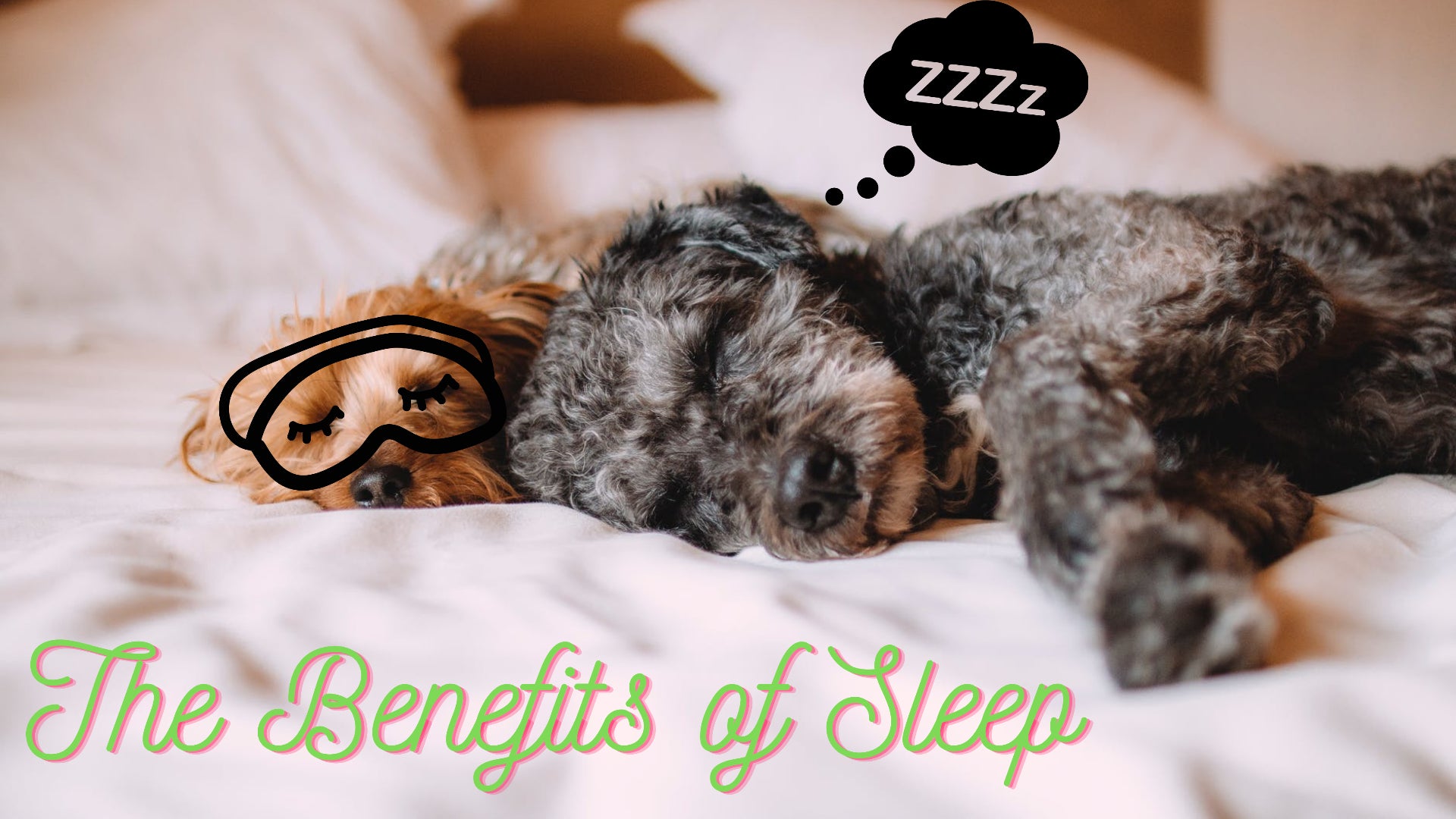The Benefits of Sleep – Haiku Designs