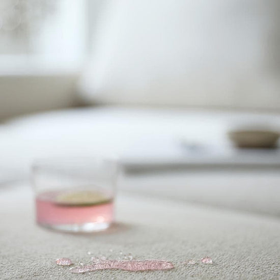 Neah Sofa Bed – Haiku Designs